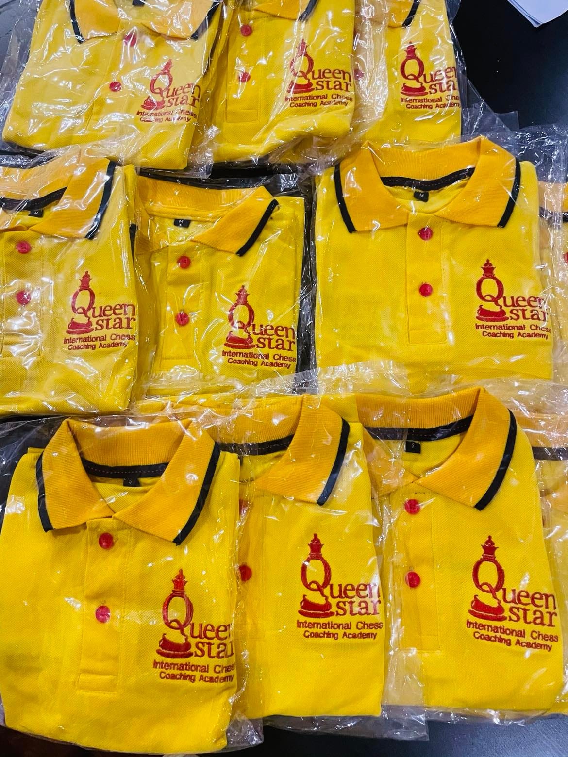 Merchandise - Queenstar Open International Chess Championship